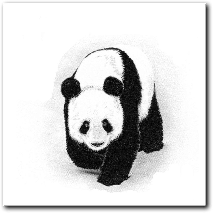 Miś panda II - PR00603 - PRINTORAMA | Sklep EMPIK.COM