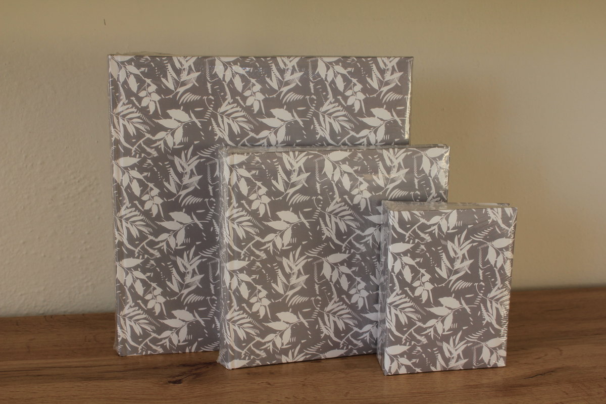 Modus, Album 200 Z.10X15 Leaf D3558 - Modus | Sklep EMPIK.COM