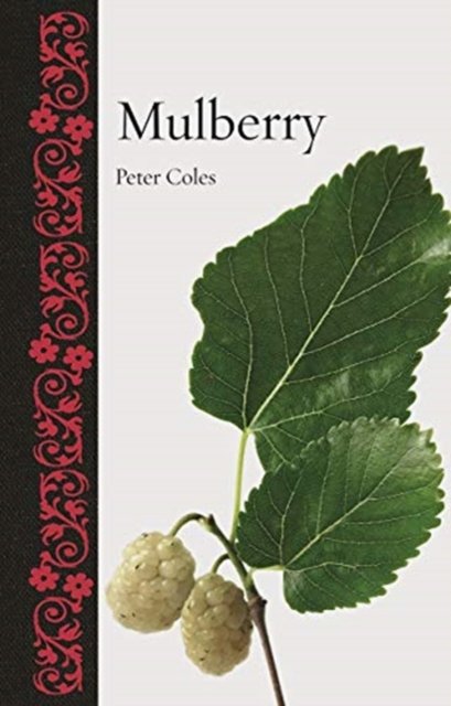 Mulberry - Coles Peter | Książka w Empik