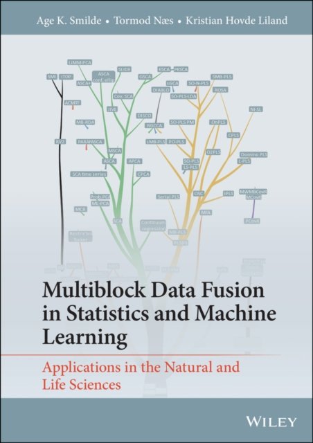 Multiblock Data Fusion in Statistics and Machine Learning: Applications in the Natural and Life ...