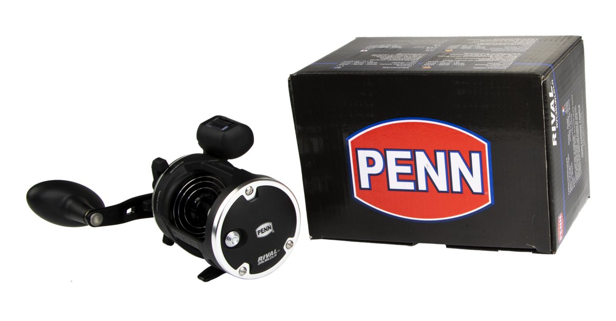 Multiplikator Penn Rival Level Wind LC LH - Penn | Sport Sklep EMPIK.COM