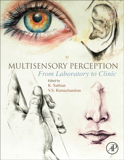 Multisensory Perception. From Laboratory to Clinic - Opracowanie ...