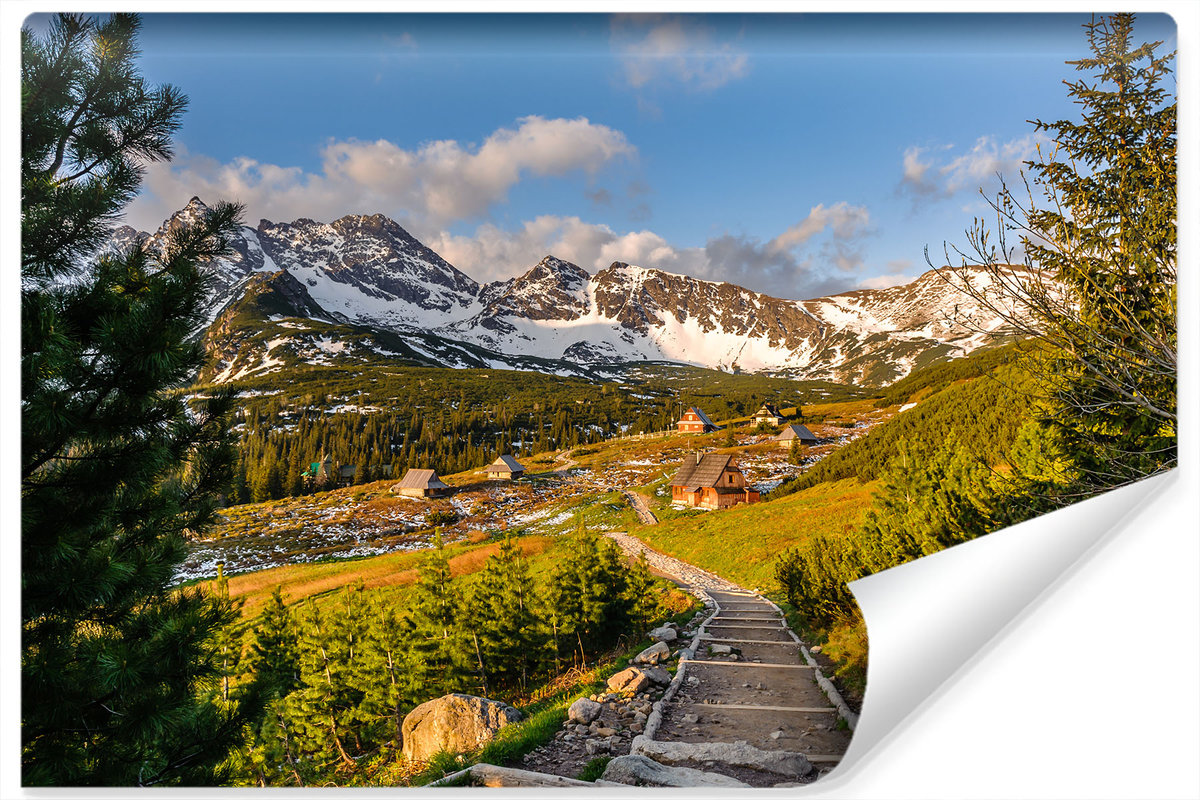 Muralo, Fototapeta, Hala Gąsienicowa, Wiosna, 270X180 cm - Muralo ...