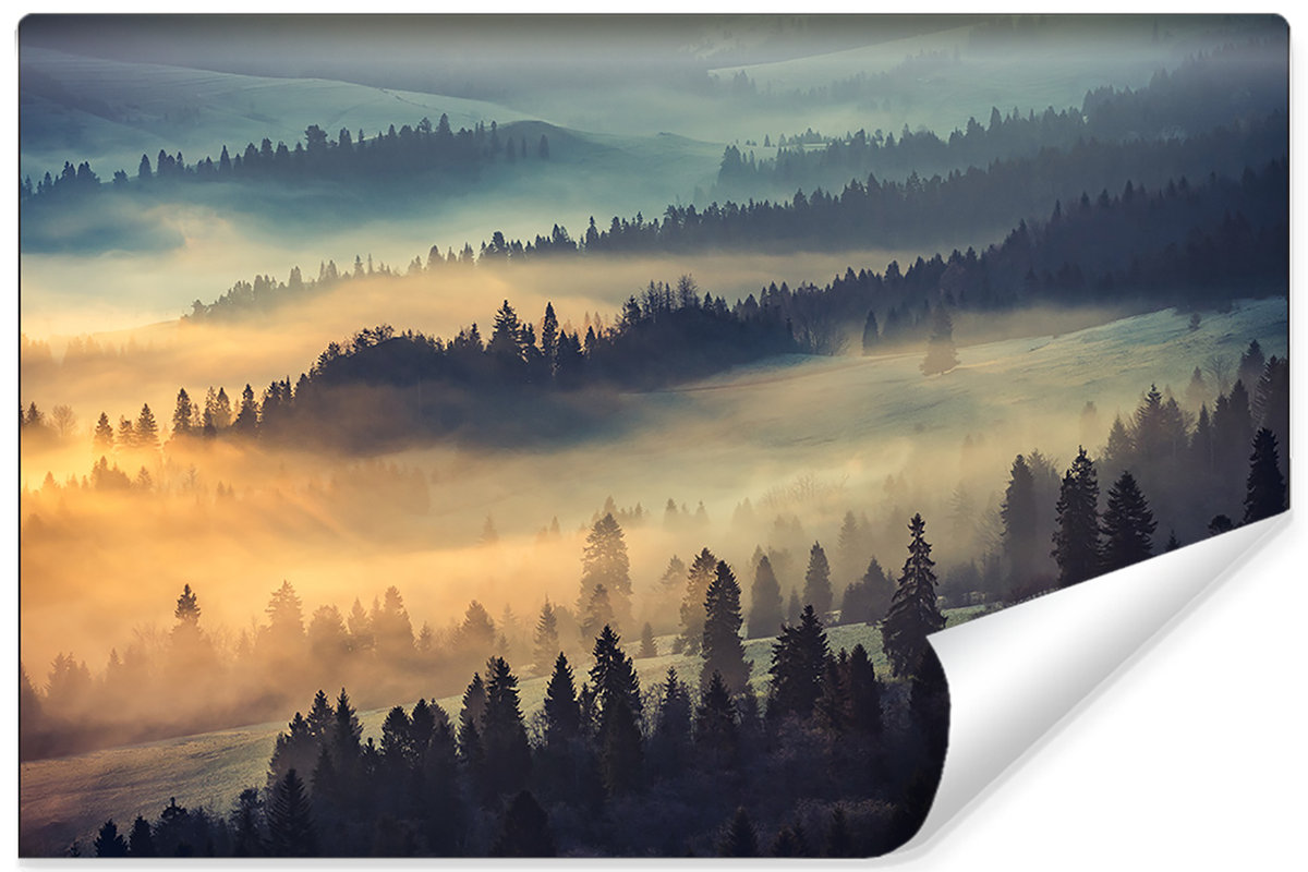 Muralo, Fototapeta Na Wymiar, Las We Mgle, Natura 3D, 405X270 cm ...