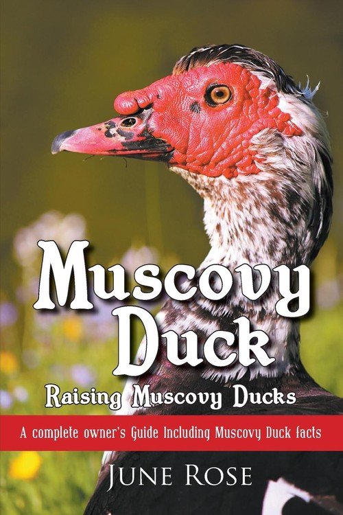 Muscovy Duck - Rose June | Książka w Empik