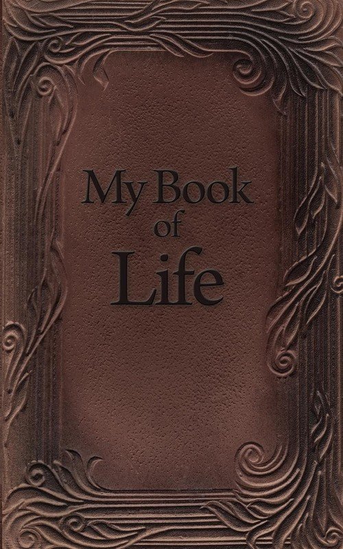 My Book of Life -Companion Book for the Guardian Code - Shenk Steve ...