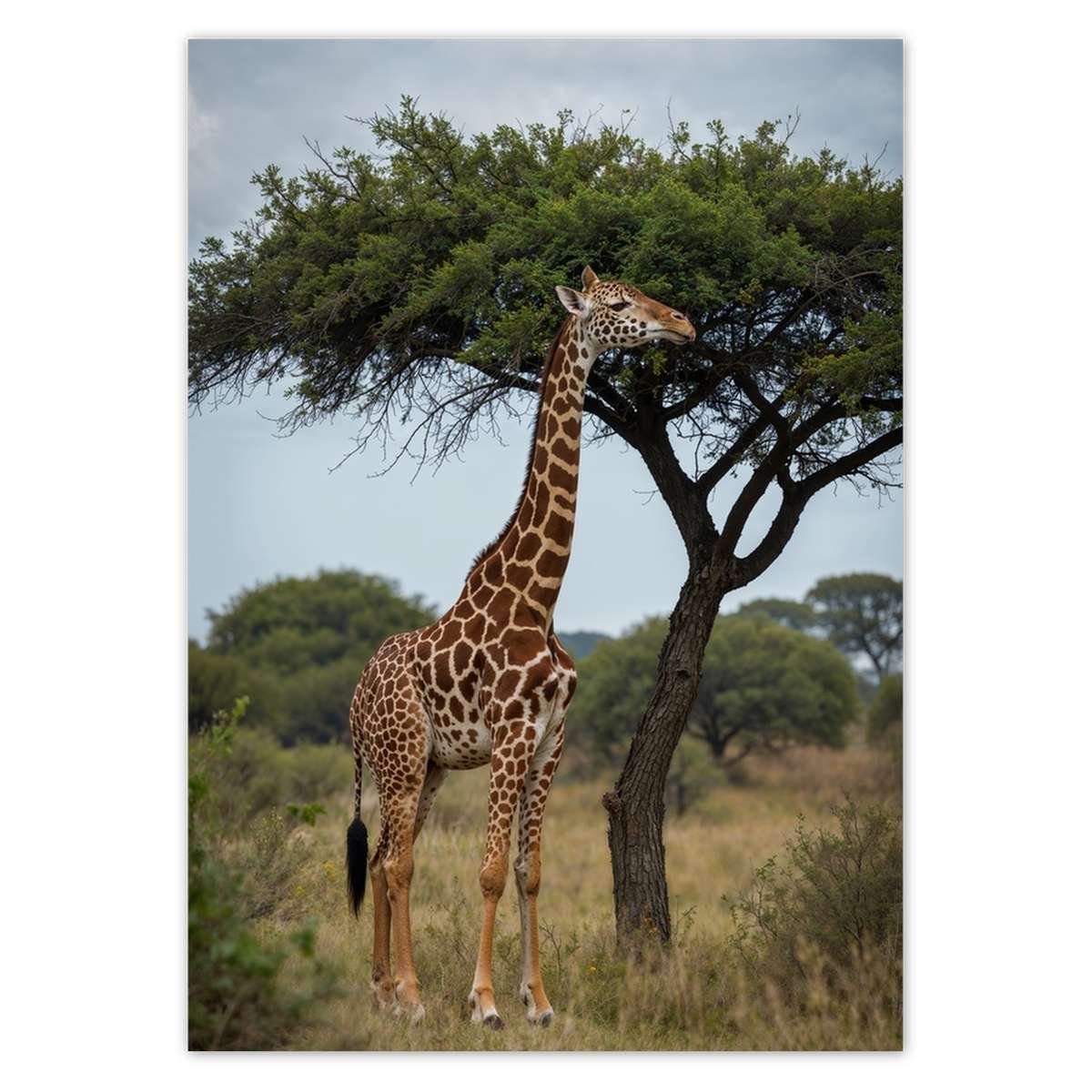 Naklejka ścienna A3 PION Żyrafa na sawannie - ZeSmakiem | Sklep EMPIK.COM