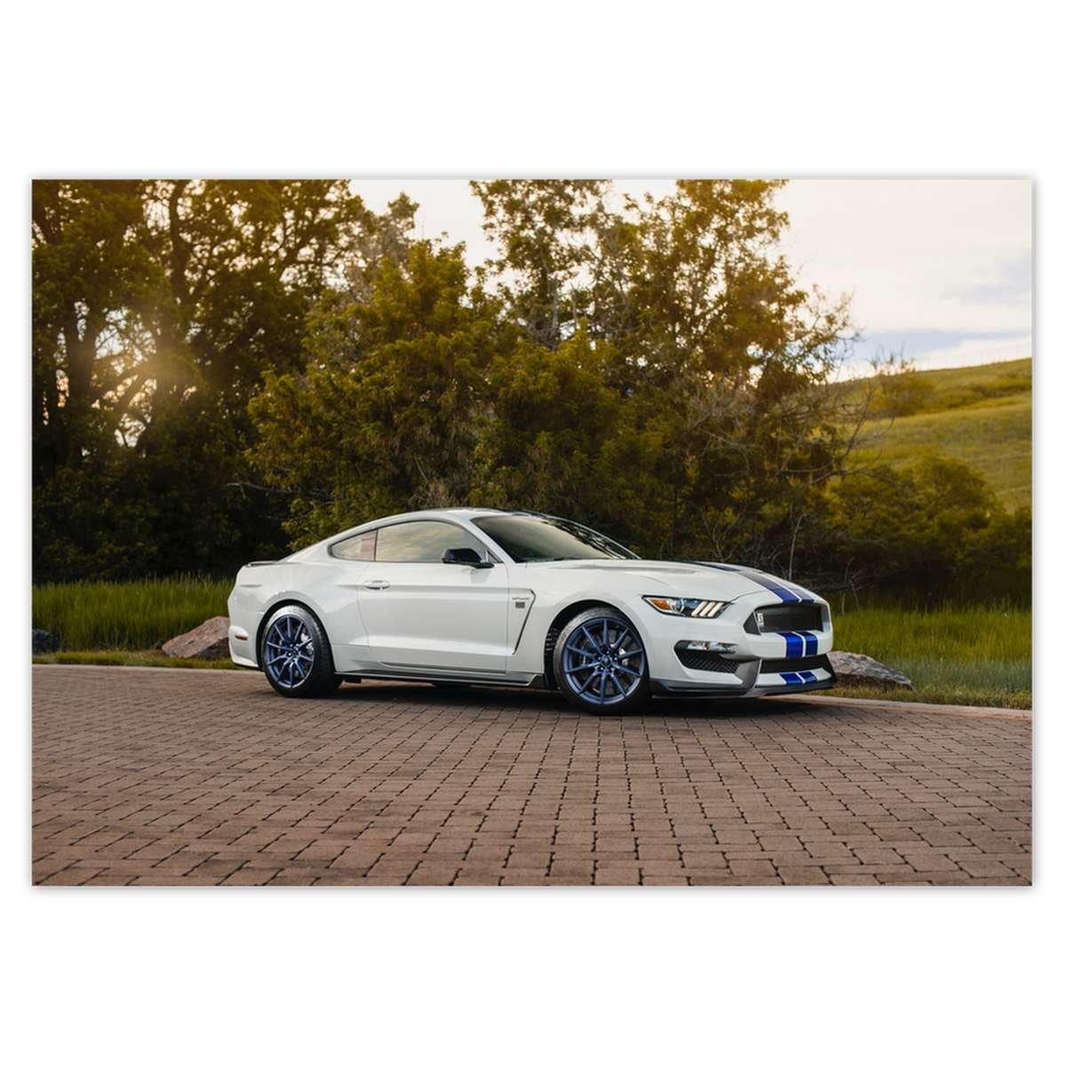 Naklejka ścienna A4 POZIOM Ford Mustang Samochód USA - ZeSmakiem ...