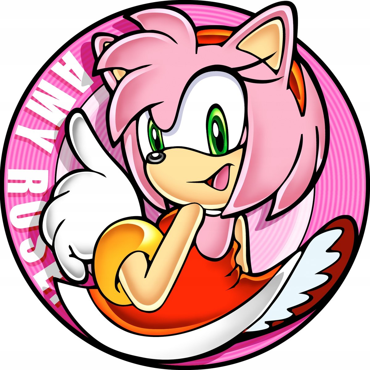 Naklejka Uv Wypukła Ozdobna DTF UV Aplikacja Sonic Amy Rose 2 - Atram ...