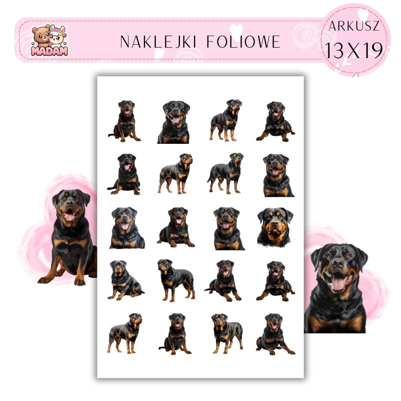 Naklejki Foliowe Pies Rottweiler 13x19, MaDam - Inna marka | Sklep ...