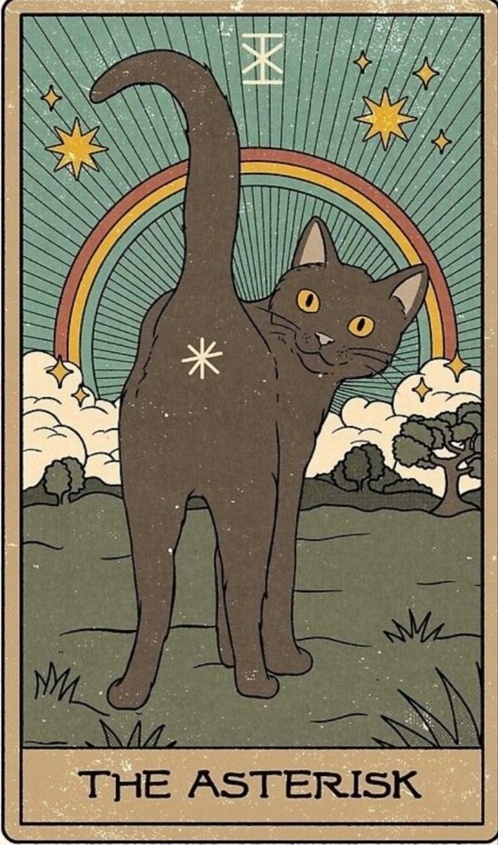 Naklejki na ścianę The Asterisk Cat Kot Śmieszny 90x60 cm - Atram | Sklep EMPIK.COM