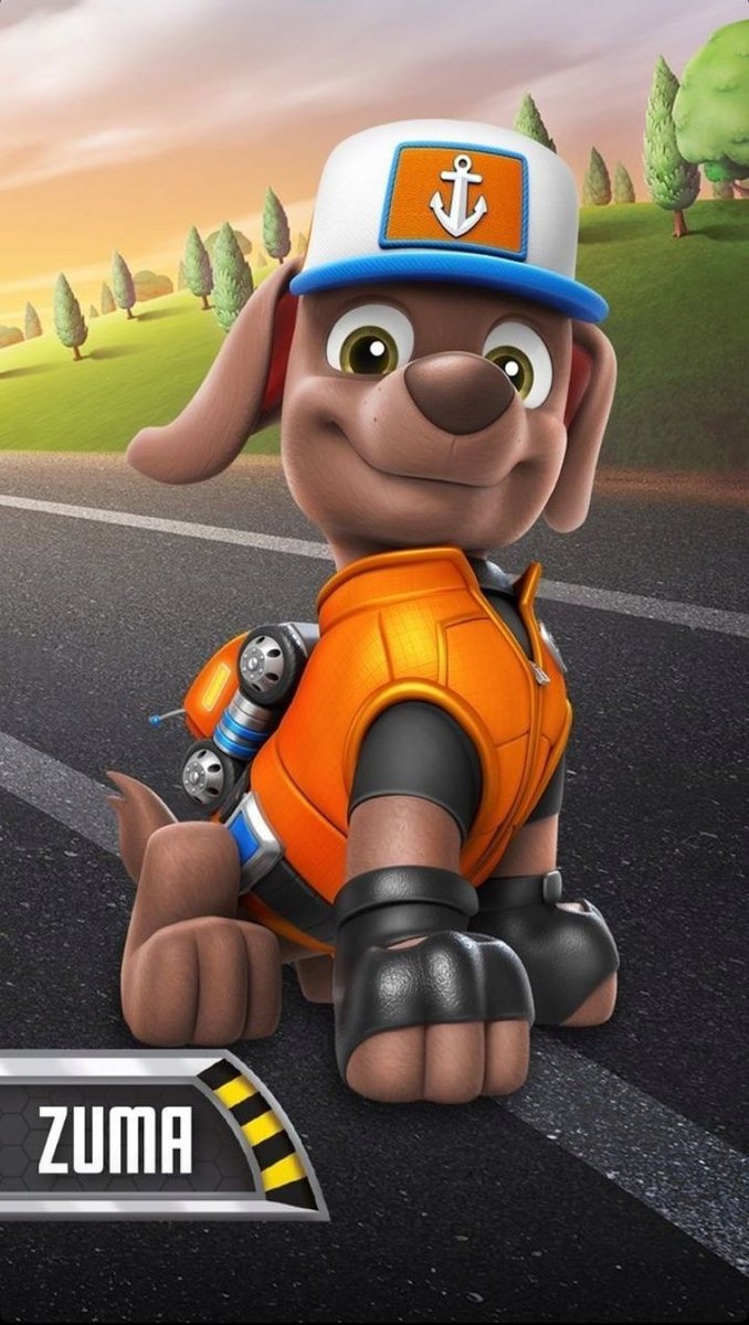 Naklejki na ścianę Zuma Psi Patrol Poster Pies 90x60 cm - Atram | Sklep ...