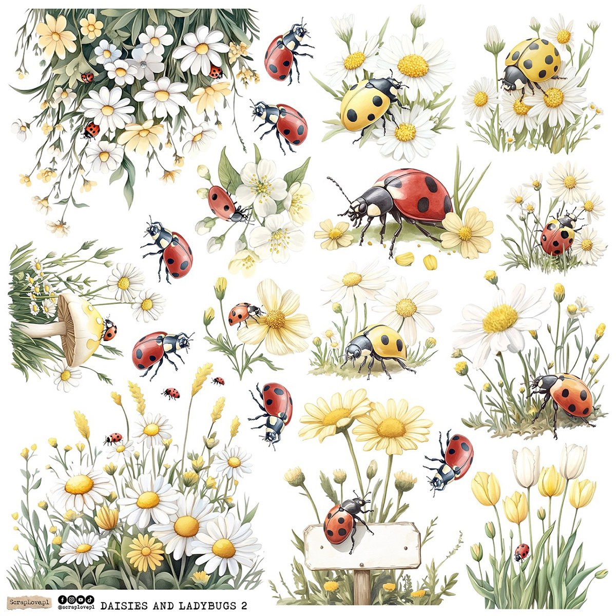 NAKLEJKI PAPIEROWE 24x24 ScrapLove - Daisies and Ladybug 2 - stokrotki ...
