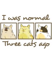 Naprasowanka Kot kotek meme śmieszny zabawny 12 - Zebra | Sklep EMPIK.COM