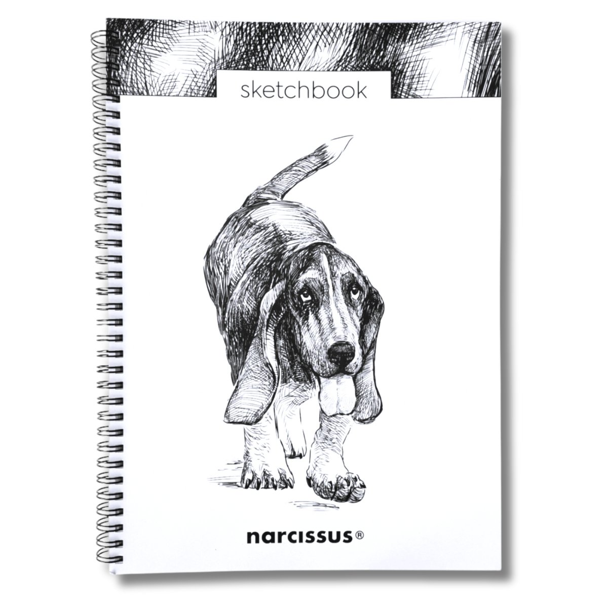 NARCISSUS szkicownik A4 na spirali Pies Basset 50k z perforacją 120 gsm ...