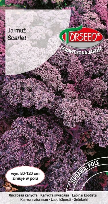 Nasiona Jarmuż Scarlet 1g - Torseed - Torseed | Sklep EMPIK.COM