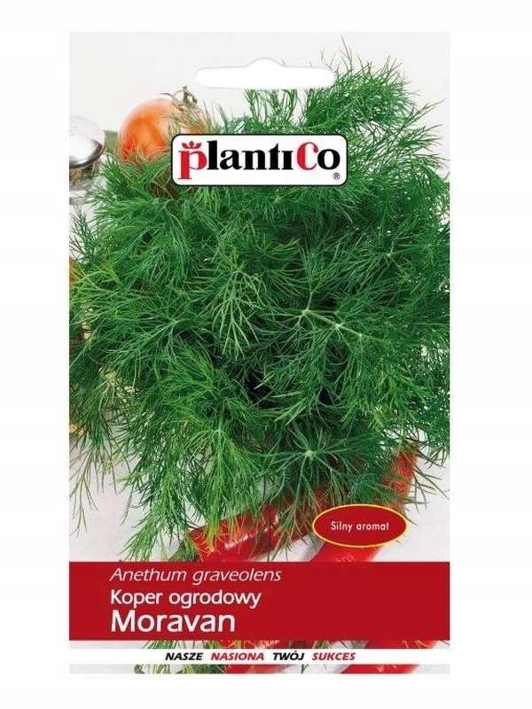 Nasiona Koper Ogrodowy Moravan 5 Gram Plantico - PlantiCo | Sklep EMPIK.COM