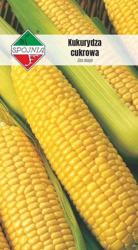 NASIONA Kukurydza cukrowa Gucio Mieszaniec 10g SPÓJNIA Słodka 325256 ...
