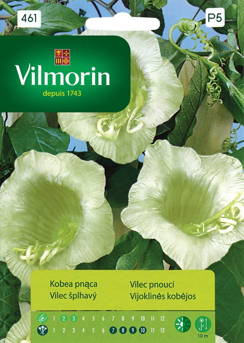 NASIONA KWIATY KOBEA PNĄCA BIAŁA 0,5G VILMORIN - Vilmorin | Sklep EMPIK.COM