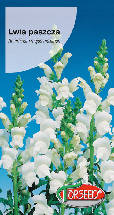 Nasiona Lwia paszcza biała 1g - Torseed - Torseed | Sklep EMPIK.COM