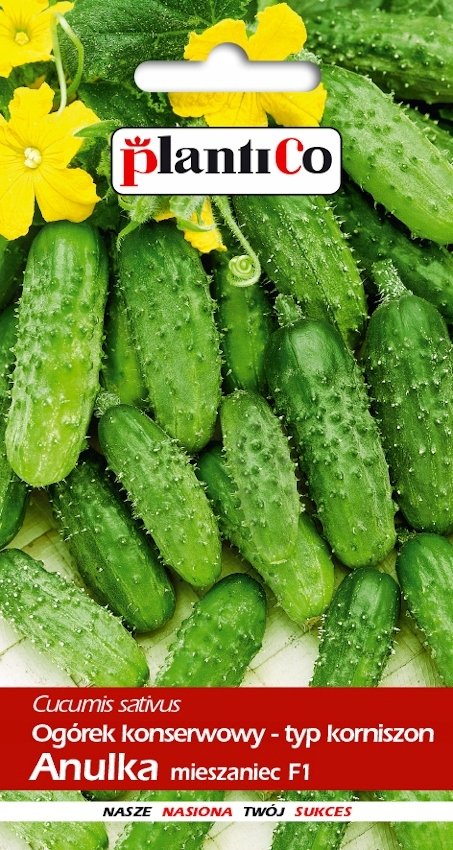 NASIONA Ogórek Gruntowy Anulka Konserwowy 3g PLANTICO 401488 - PlantiCo ...