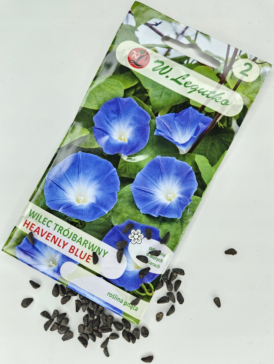 Nasiona pnączy wilec 2 g LEGUTKO WILEC HEAVENLY BLUE - W. Legutko ...