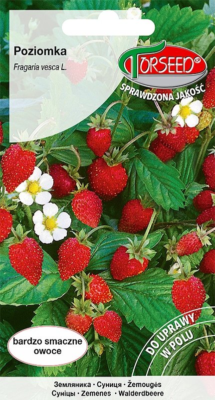 Nasiona Poziomka Rujana 0,2g - Torseed - Torseed | Sklep EMPIK.COM