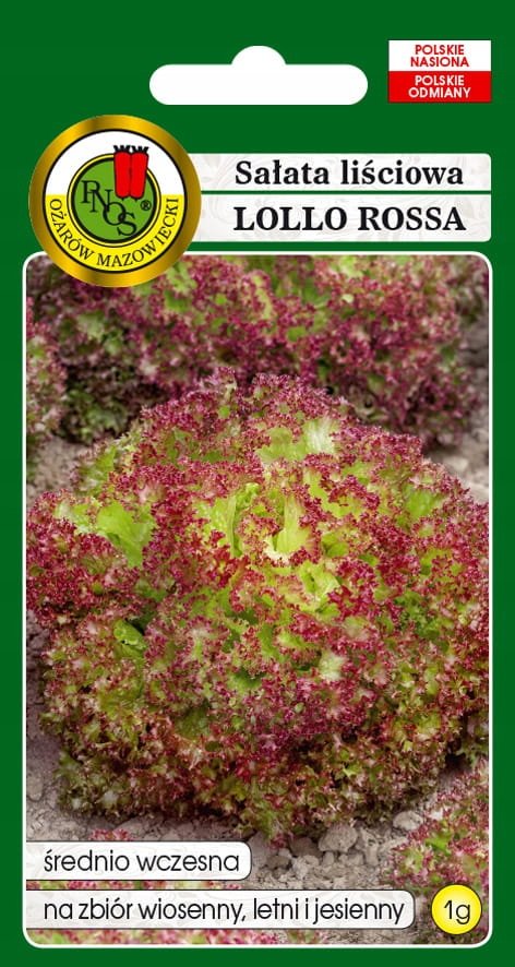 NASIONA SAŁATA LIŚCIOWA CZERWONA LOLLO ROSSA 1G - PNOS | Sklep EMPIK.COM