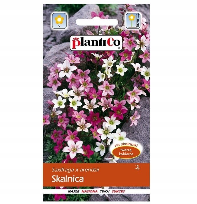 Nasiona Skalnica 0,05G Plantico - PlantiCo | Sklep EMPIK.COM