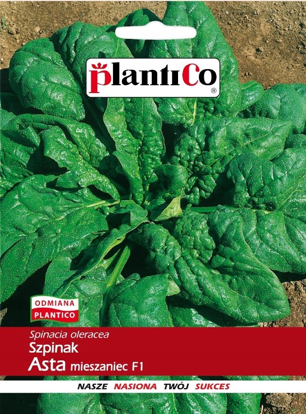 NASIONA Szpinak Asta Mieszaniec F1 10g PLANTICO 404519 - PlantiCo ...