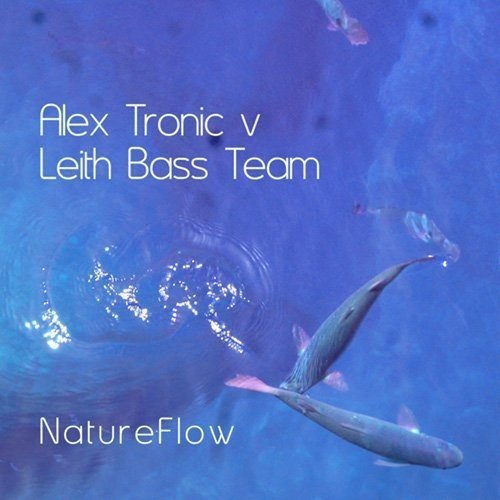 Nature Flow - Various Artists | Muzyka Sklep EMPIK.COM