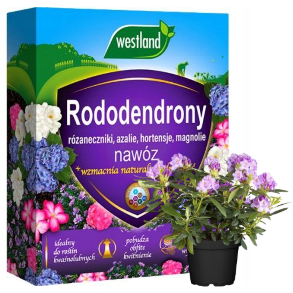 NAWÓZ DO RODODENDRONÓW HORTENSJI AZALII MAGNOLII WRZOSÓW 1KG WESTLAND - WESTLAND | Sklep EMPIK.COM
