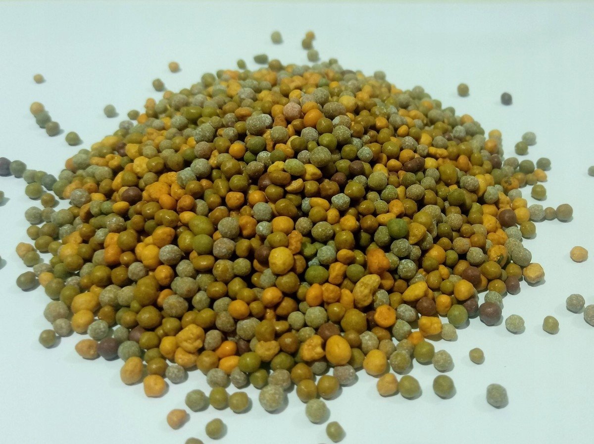 Nawóz Exact 1kg Osmocote High K 5-6 msc - Perfekt Klik | Sklep EMPIK.COM