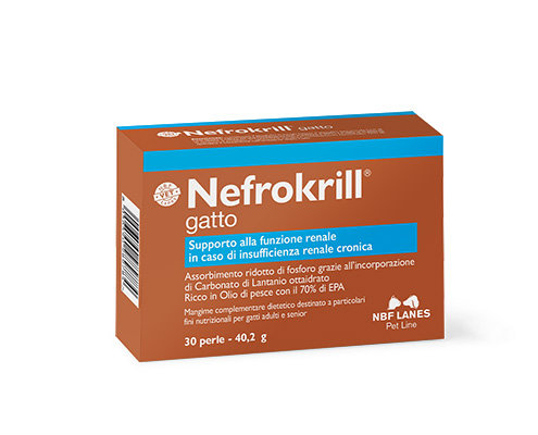 Nefrokrill Gatto 30 Kapsułek / Nbf Lanes - Inny producent | Sklep EMPIK.COM