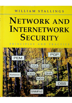 Network and internetwork security - Prentice Hall | Książka w Empik