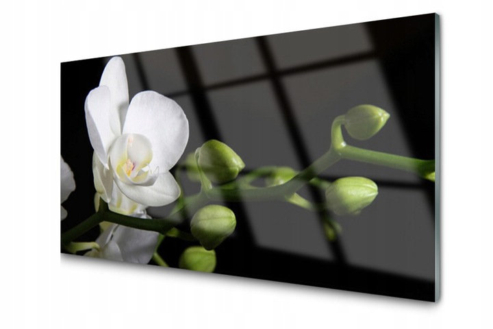 Nowoczesny Foto-obraz na Szkle Hartowanym - Kwiat Roślina Natura 100x50 - Inna marka | Sklep ...