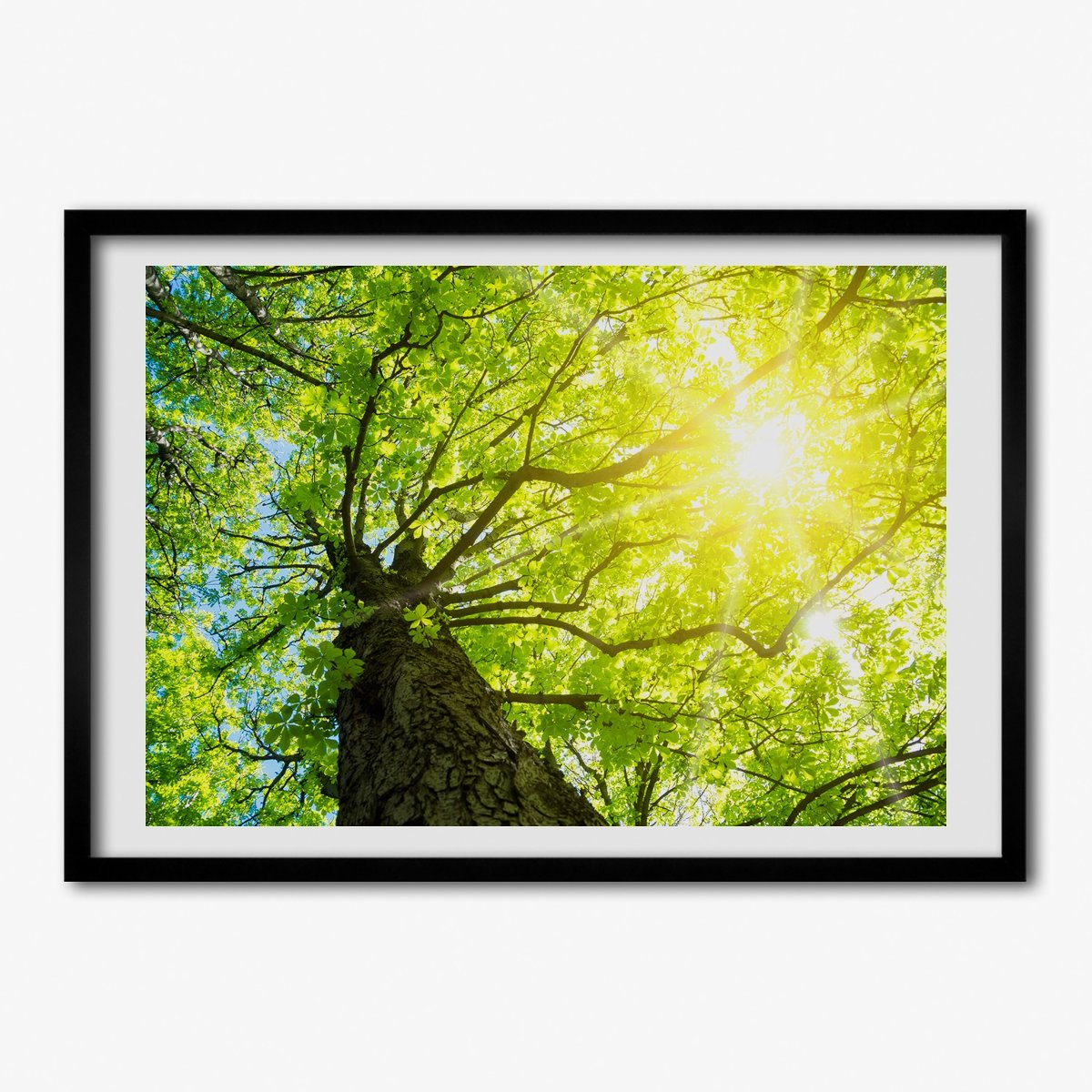 Nowoczesny Obraz z ramką TULUP Kasztan wiosną 70x50 cm - Tulup | Sklep ...