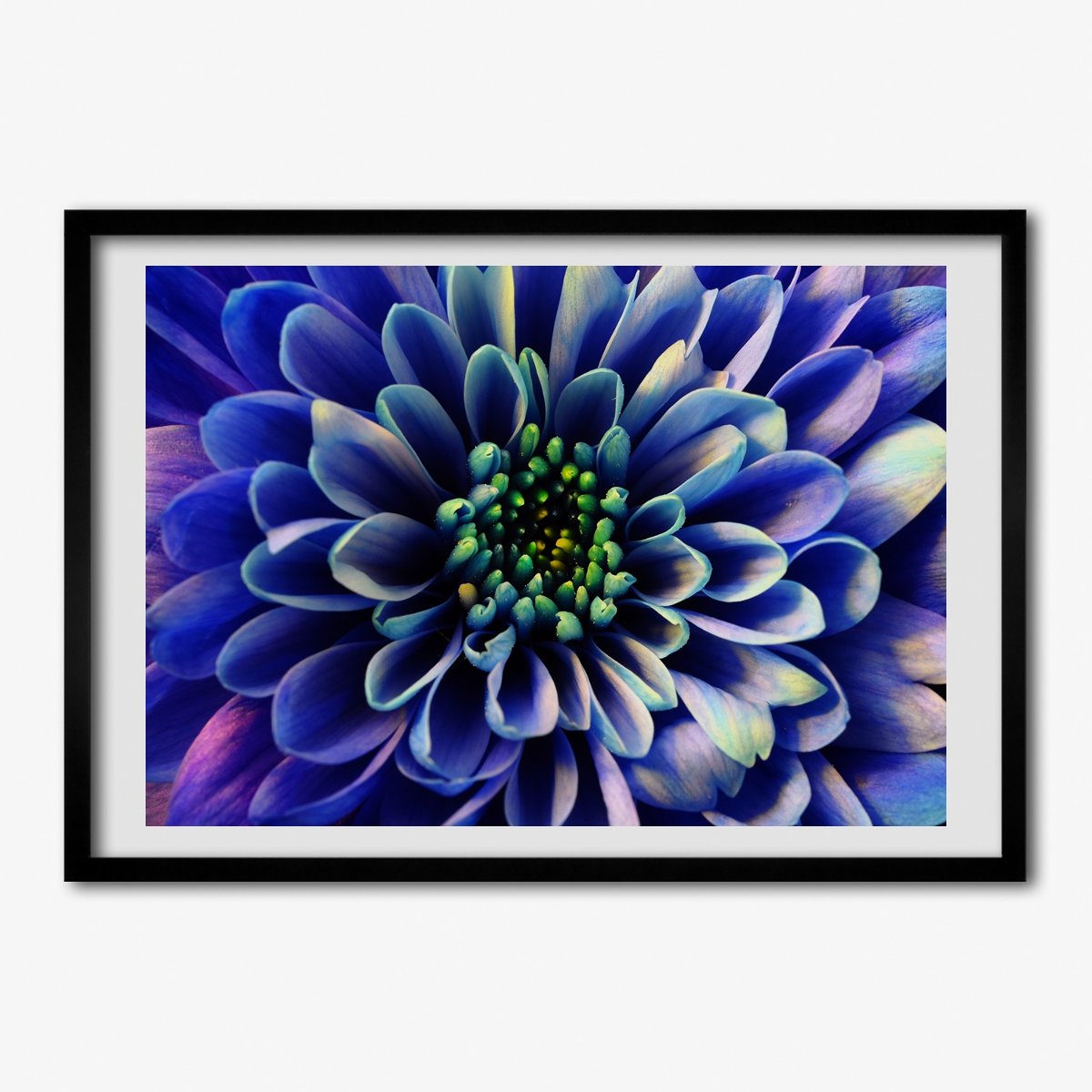 Nowoczesny obraz zdjęcie z ramką TULUP Aster 70x50 cm - Tulup | Sklep ...