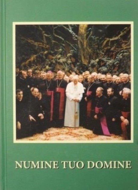 Numine Tuo Domine - Szal Adam | Książka w Empik