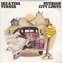 Nutbush City Limits - Turner Tina | Muzyka Sklep EMPIK.COM