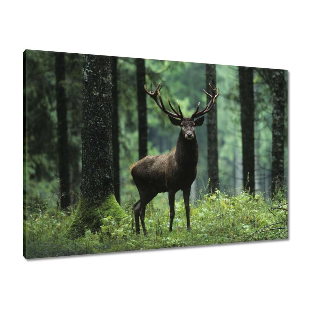 Obraz 100x70cm Jeleń w lesie - ZeSmakiem | Sklep EMPIK.COM