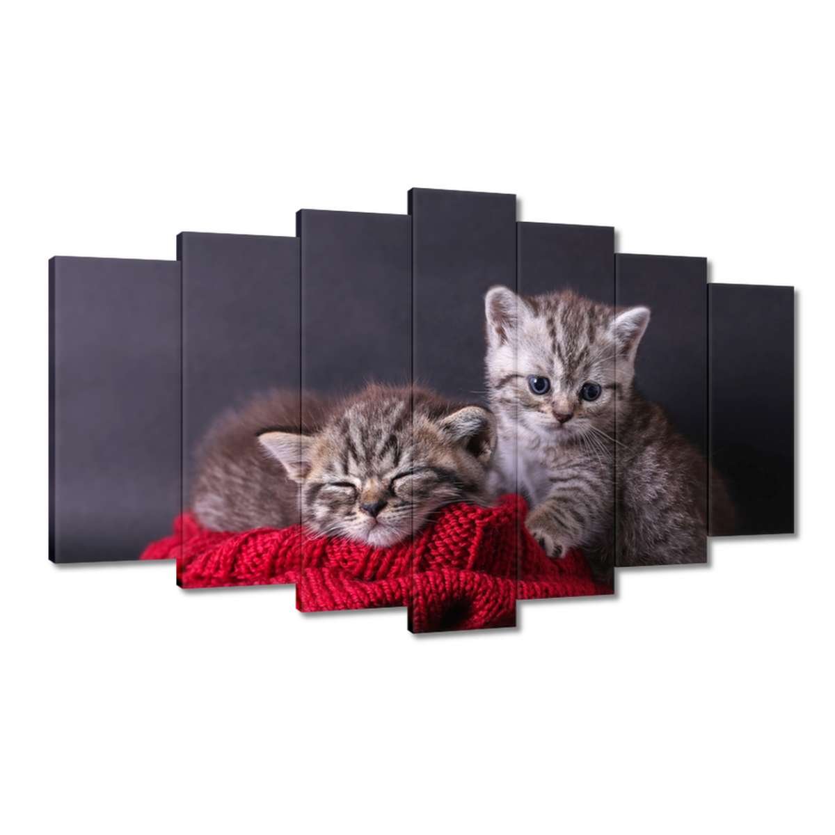 Obraz 140x80cm Dwa słodkie kotki - ZeSmakiem | Sklep EMPIK.COM