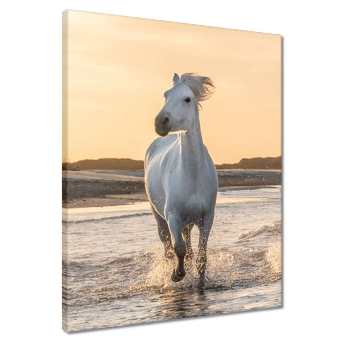 Obraz 40x50cm Dzikie konie - ZeSmakiem | Sklep EMPIK.COM