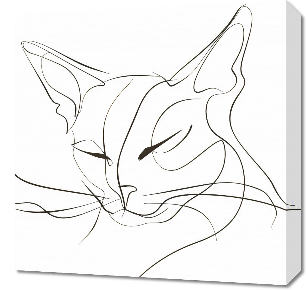 Obraz 50x50cm Linijny Kot - Inna marka | Sklep EMPIK.COM
