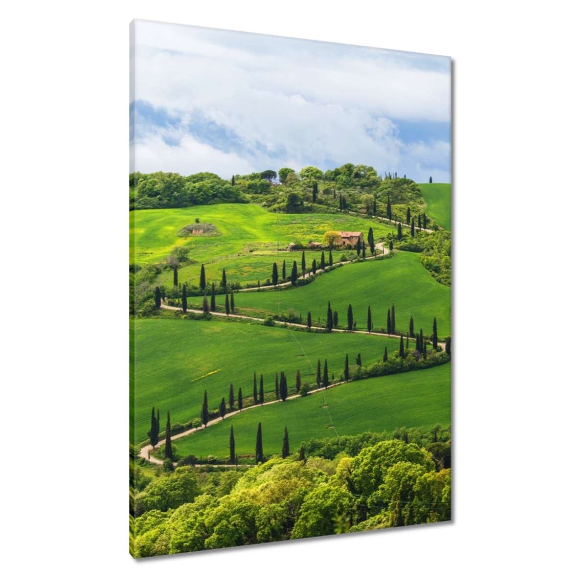 Obraz 70x100cm Droga przez pola w Toskanii - ZeSmakiem | Sklep EMPIK.COM