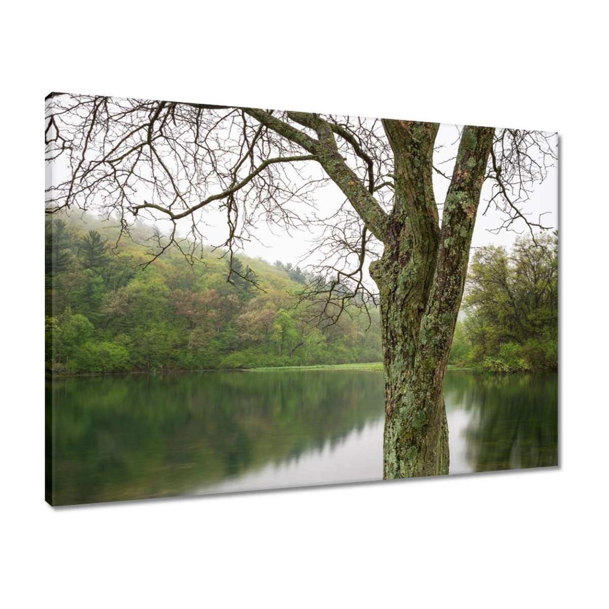 Obraz 70x50 Drzewo Rzeka Las - ZeSmakiem | Sklep EMPIK.COM