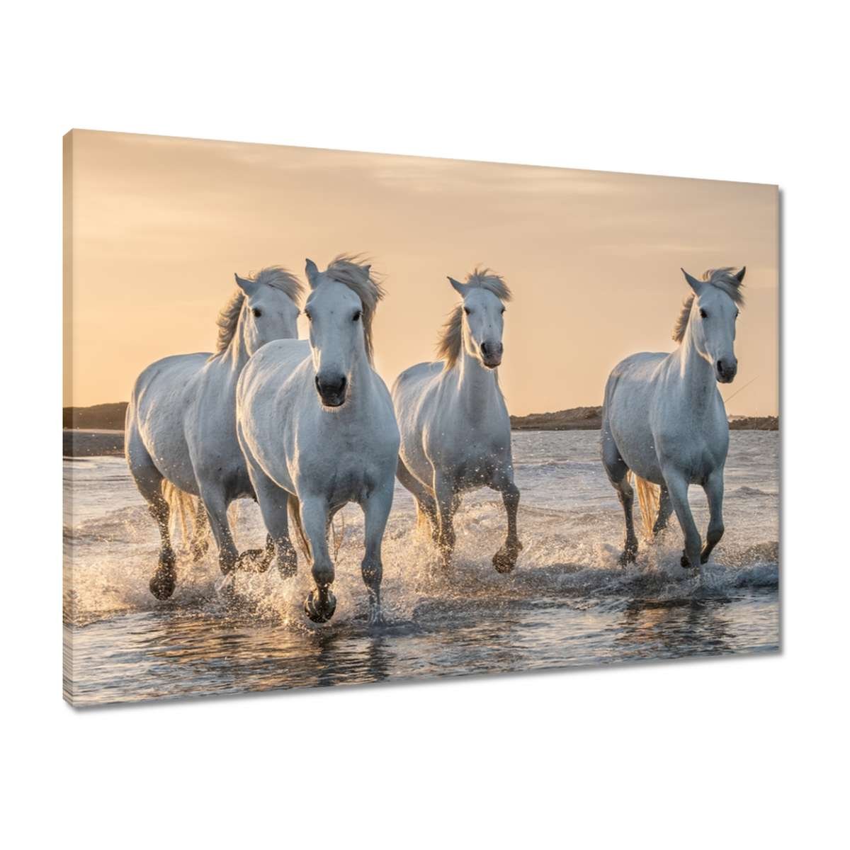 Obraz 70x50 Dzikie konie Wild Horses - ZeSmakiem | Sklep EMPIK.COM