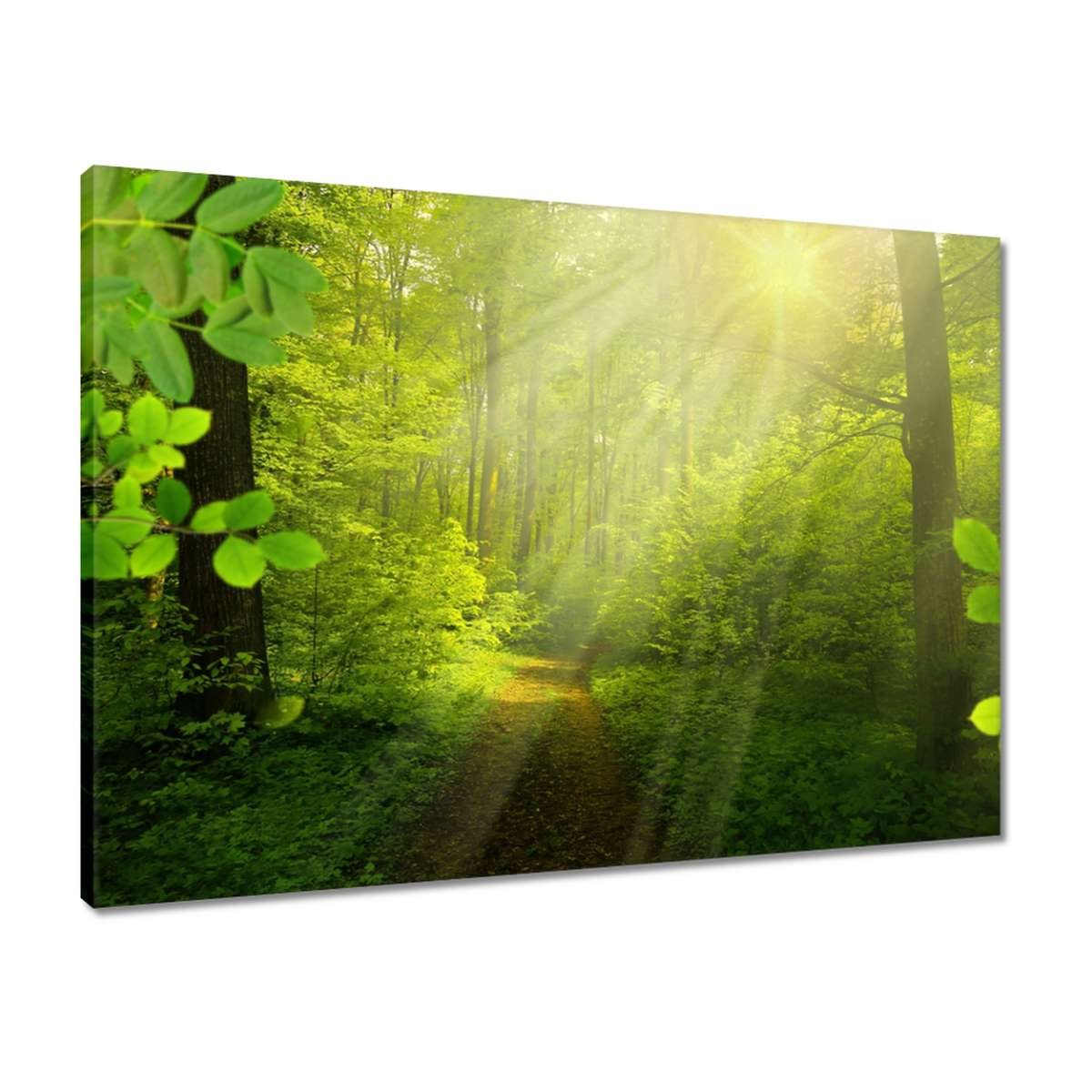 Obraz 70x50 Magiczny las Promienie - ZeSmakiem | Sklep EMPIK.COM