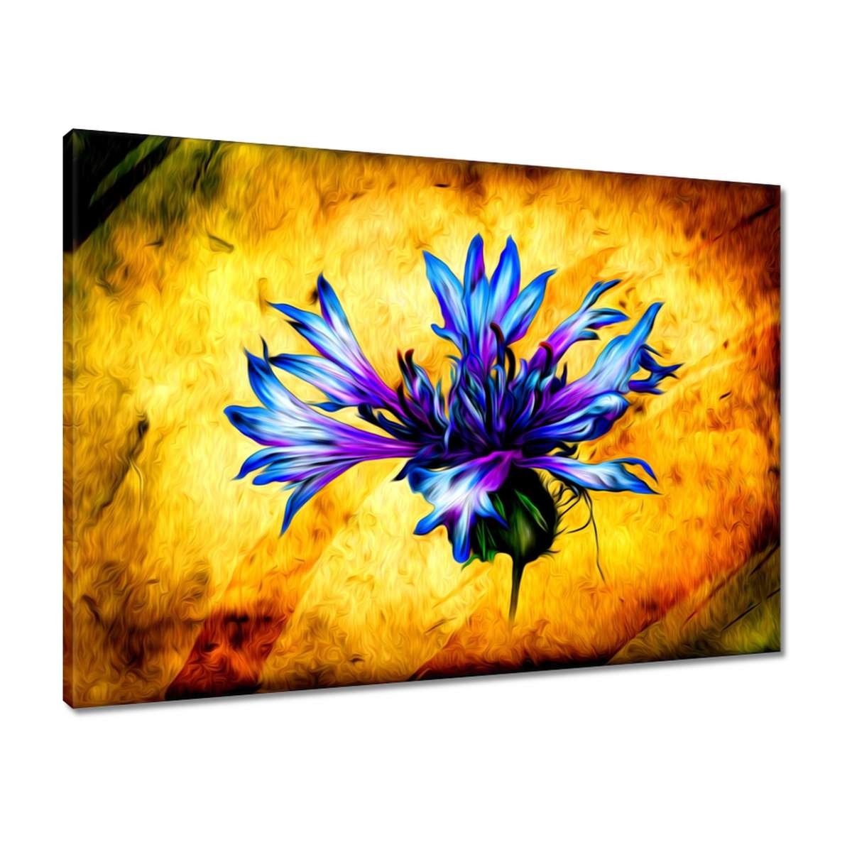 Obraz 70x50 Modrak - ZeSmakiem | Sklep EMPIK.COM