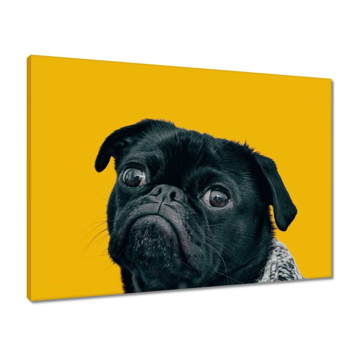 Obraz 70x50 Pies Piesek Psiaki - ZeSmakiem | Sklep EMPIK.COM